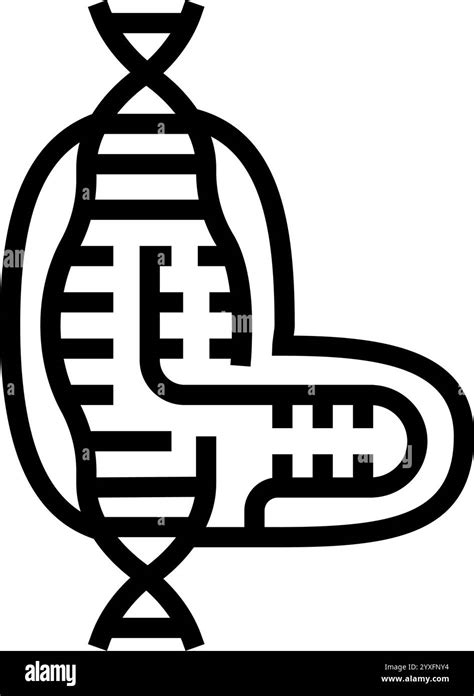 Crispr Tool Genetic Engineering Line Icon Vector Illustration Stock