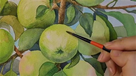 수채화로 과일 쉽게 그리기 사과 Youtube