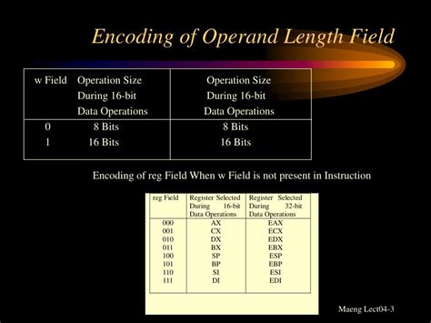 Ppt Lect 4 Instruction Encoding And Instruction Set Powerpoint