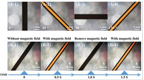 A Magnetic Field Direction Dependent Polarized Optical Microscope Download Scientific Diagram