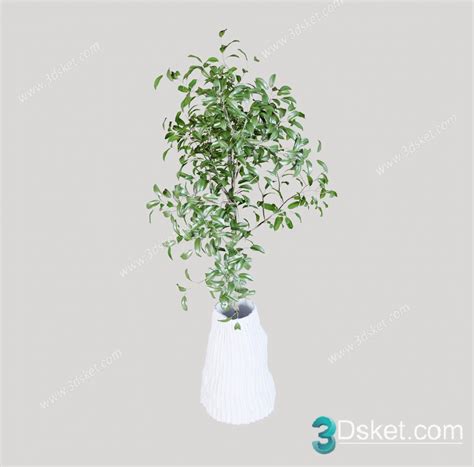 3d Model Tree Free Download T048 Download 3d Model Free 3dskymodel Free 3dsket Interior