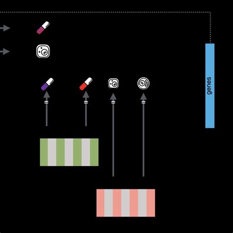 Interpretable Single Cell Perturbation Modeling Using A Compositional Download Scientific