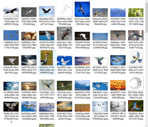 无人机和鸟分类数据集各有 张图片数据介绍 探险家的数据窝