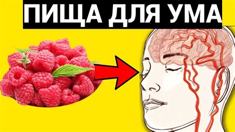 5 продуктов для вашего мозга Улучшение внимания и памяти