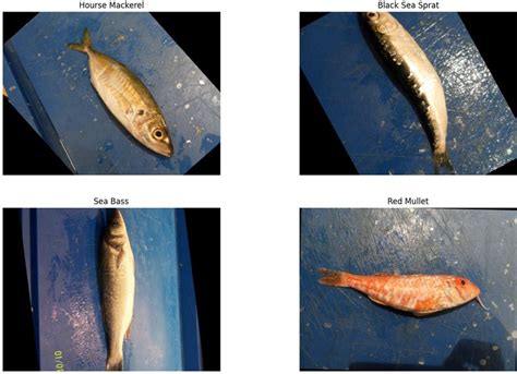 Mehmet Yusuf Bircan Linkedin‘de Deeplearning Python Ai Keras