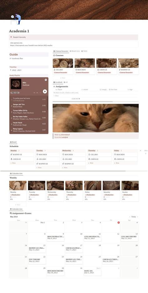 Do You Use Notion To Organise Your Academic Life R Highschool