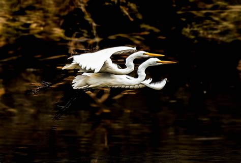 Going Together Corel Discovery Center