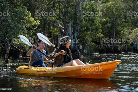숲 호수에서 카약을 노를 젓는 아시아의 매력적인 낭만적 인 젊은 커플 아름다운 맹그로브 숲에서 카누를 타고 여행하고 카약을 타는 배낭 남자와 여자는 함께 휴가 휴가를