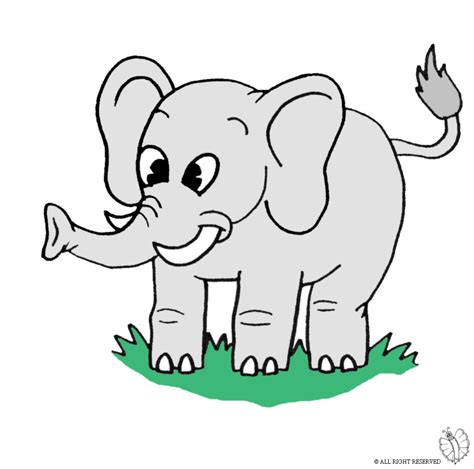 Disegni A Matita Elefante Disegni Hd