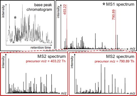 Illustration Of An Msmsms Experiment Sequence By Data Dependent