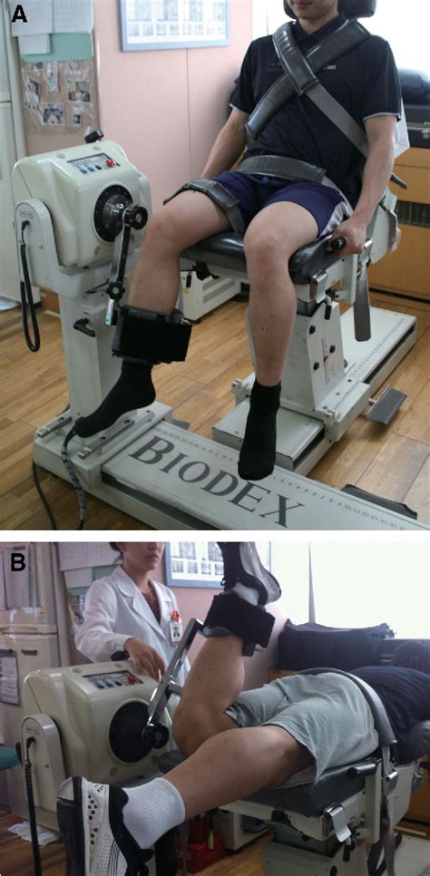 Figure 1 From Relationships Among Tendon Regeneration On Mri Flexor Strength And Functional