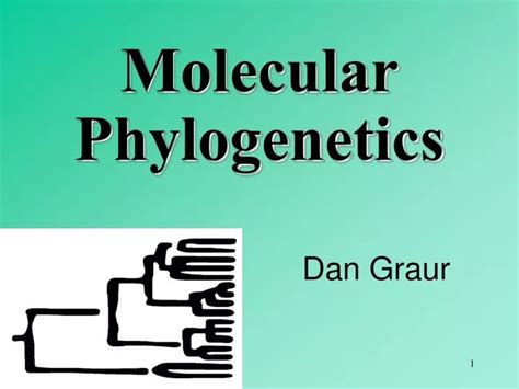Ppt Uncovering Evolutionary Relationships Molecular Phylogenetics Powerpoint Presentation
