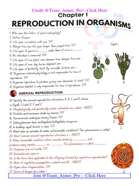 Biohack Complete Class 12 Pdf
