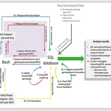 Data Analysis Workflow Schematic Download Scientific Diagram