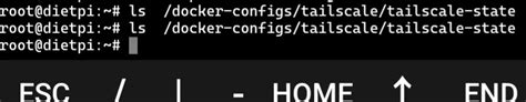 Container State File Being Lost On Restart · Issue 6733 · Tailscale