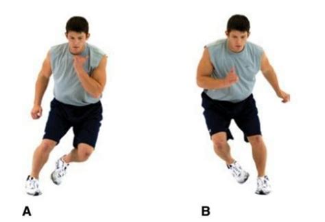 NASM Practice Test Flashcards Quizlet