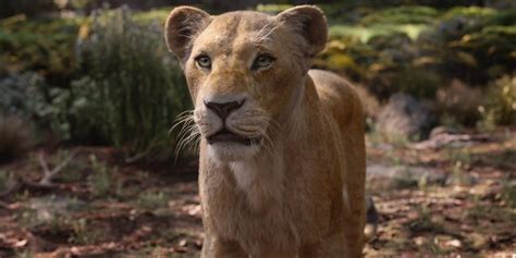 Disney S Lion King Fixed A Nala Plot Hole Years After The Movie Released