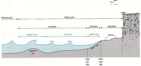 1 Definitions Used In The Littoral Zone These Include The Sediment