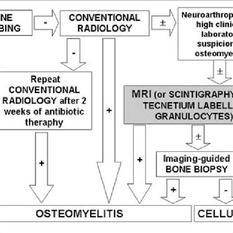 Diagnostic Algorithm For The Diagnosis Of Osteomyelitis In The Diabetic