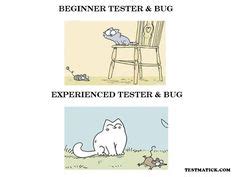 Software Testing Humor Ideas Software Testing Funny Test Humor
