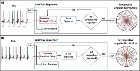 Gating Strategies For Fast Pg And Uncorrelated Rg Colors Represent Download Scientific Diagram