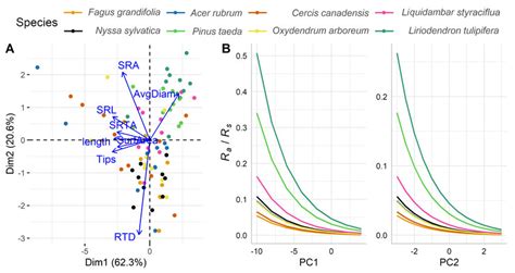 A Principal Components Analysis For Root Morphological Traits Of 80