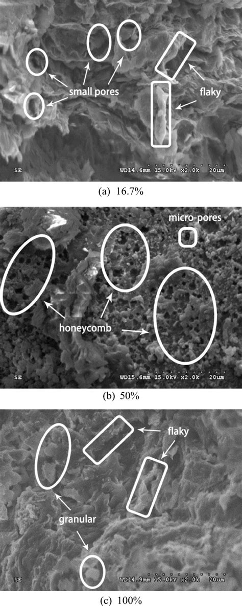 SEM Images Of Undisturbed Silty Clay Polluted By Landfill Leachate Download Scientific