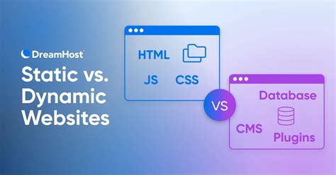 Choose Between A Static Vs Dynamic Website