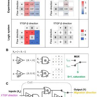 Ternary Logic Gate Model To Address The Cellular Signal Processing Download Scientific Diagram