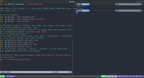 bug doesn t display ram value · issue 165 · dracula tmux · github