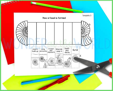 How A Fossil Is Formed Printable Craft Activity And Sequencing Cards PDF Etsy