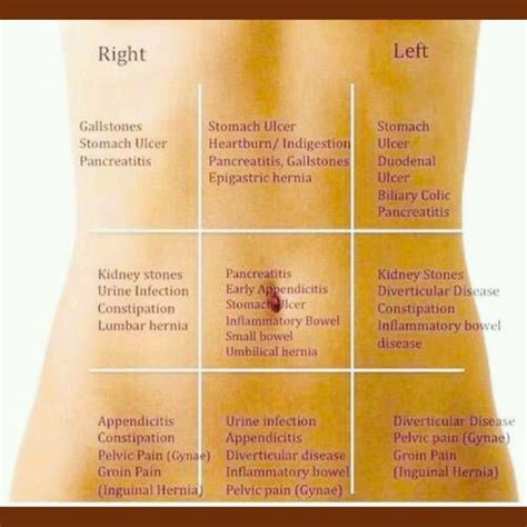 Abdominal Quadrants Health Tips Health Info Health