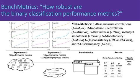 Research Question How Robust Are The Binary Classification