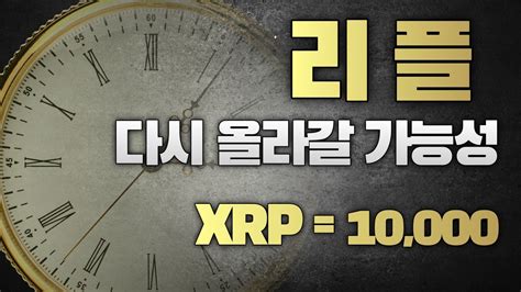 리플 상승 가능성 식스토큰 리플코인 리플대응 리플 리플전망 식스코인식스토큰 리플속보 Youtube