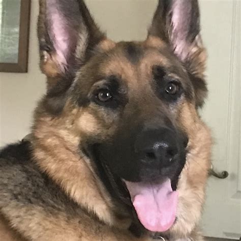 Uncle Jake Productions Youtube