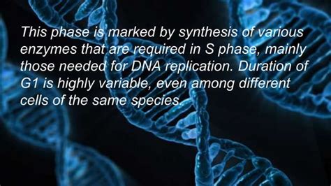Cell Cycle Ppt Pptx Biological Sciences Science