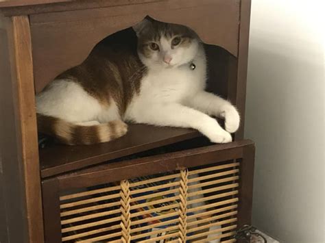 Meeting Matt Walsh In Public R H3h3productions