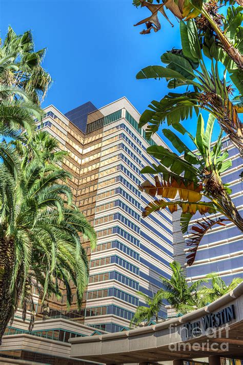 Westin Hotel Long Beach Photograph By David Zanzinger Pixels