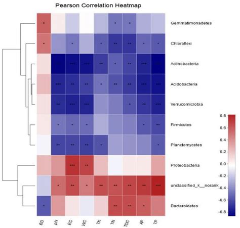 Heatmap Analysis Of The Correlation Between Bacteria And Soil Physical Download Scientific