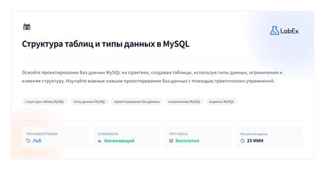 Изучите структуру таблиц и типы данных в Mysql Интерактивное