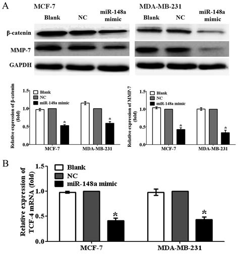 Microrna 148a Inhibits Breast Cancer Migration And Invasion By Directly