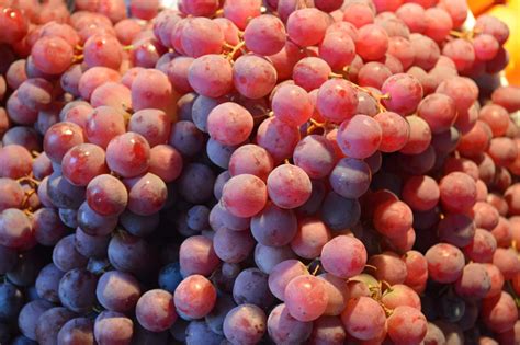 Evidencia Científica De La Vitamina N Vitamina N