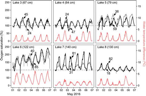 Oxygen Saturation Primary Y Axis In Surface Waters Gray And Bottom Download Scientific