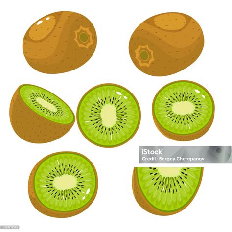 키위 과일 전체 및 조각 달콤한 과일 3d 벡터 아이콘 세트입니다 키위에 대한 스톡 벡터 아트 및 기타 이미지 키위 벡터 과일 Istock