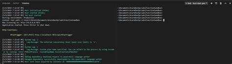 Feature Request Azure Functions Debug Split Terminal Option · Issue