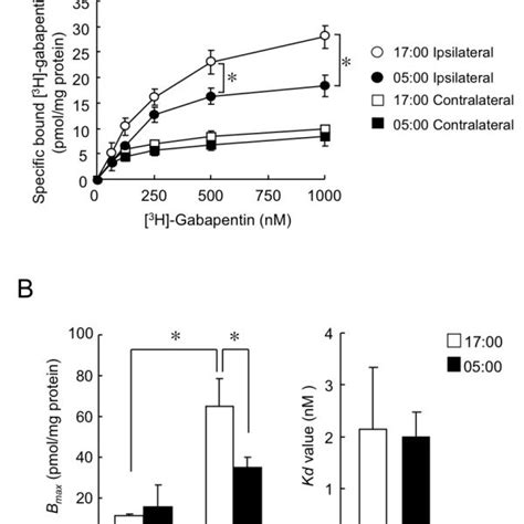 Influence Of Dosing Time On The Anti Allodynic Effects Of Gabapentin In Download Scientific