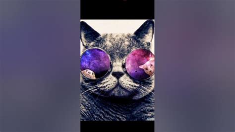 АВЫ ДОЯ ЛЮТОЙ ТИМЫ Youtube