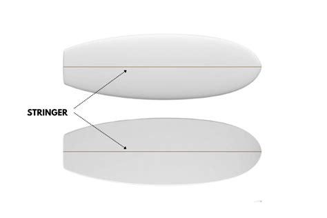 Surfboard Parts From Nose Tail And Everything In Between Surf Hub