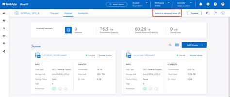 Something Went Wrong Error When Switching To Advanced View In Bluexp Gui Netapp Knowledge Base