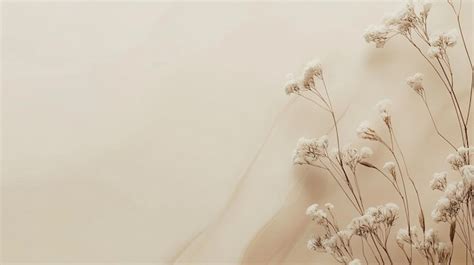 Simple And Elegant Background Ccol And Beutyfull Premium Ai Generated